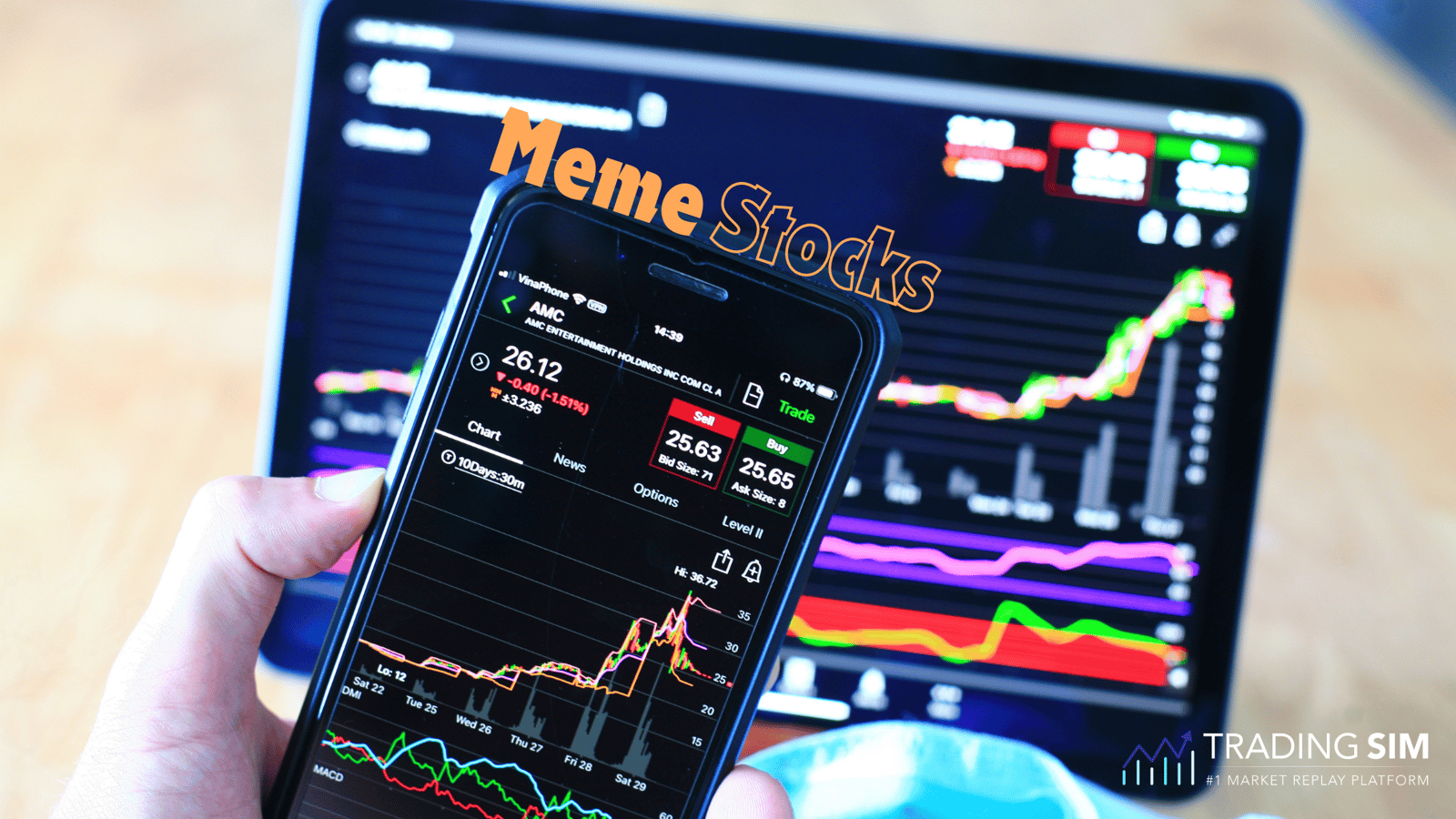 Mastering Investment Strategies for Meme Stocks | TradingSim