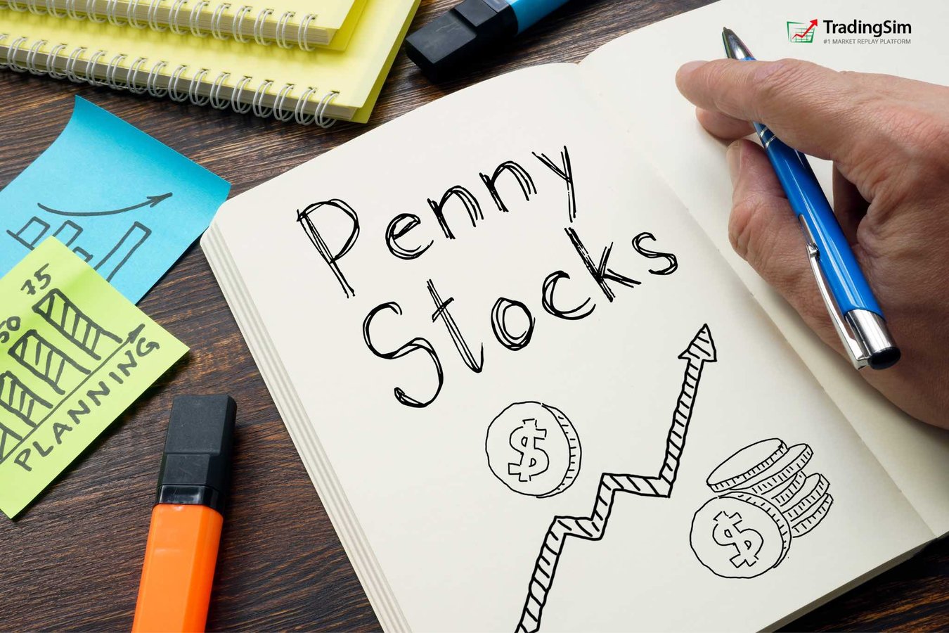 Penny Stocks Explained for Beginners | TradingSim