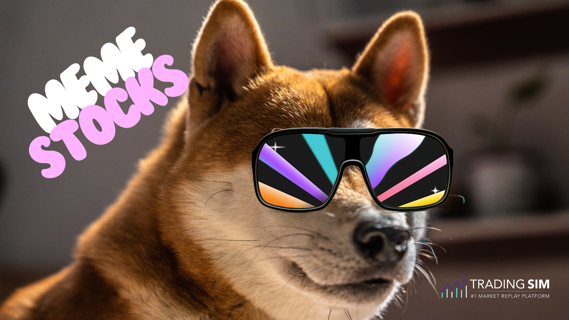 How Social Media Shapes Meme Stock Prices a | TradingSim