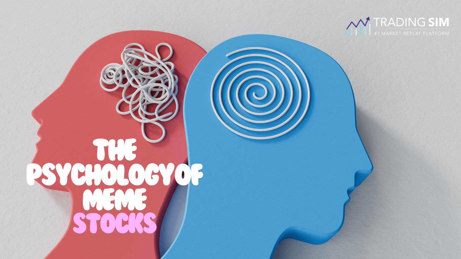 The Psychology Behind Meme Stock Traders | TradingSim