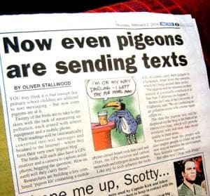 How to Best Use Trade Alerts