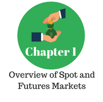 Spot Market vs Futures Market – 6 Key Differences | TradingSim