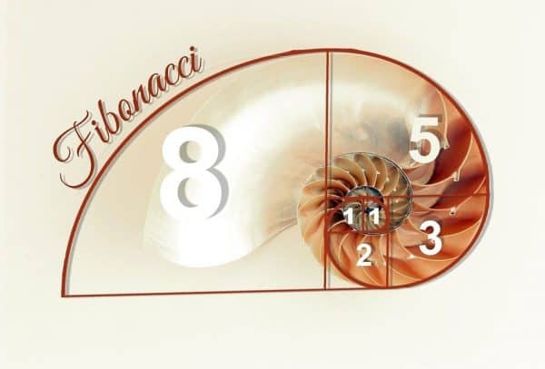 Three Fibonacci Trading Strategies + Infographic & Video | TradingSim