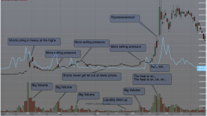 Days to Cover Explanation & Meaning for Short Squeezes | TradingSim