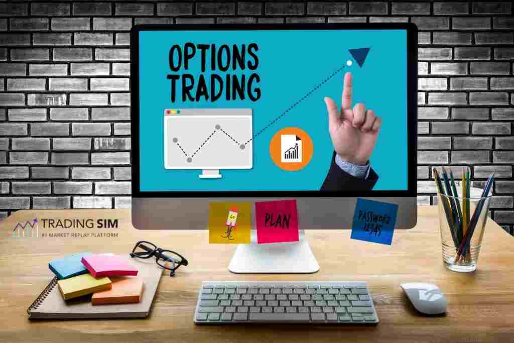 Understanding Basic Options Trading for Beginners | TradingSim